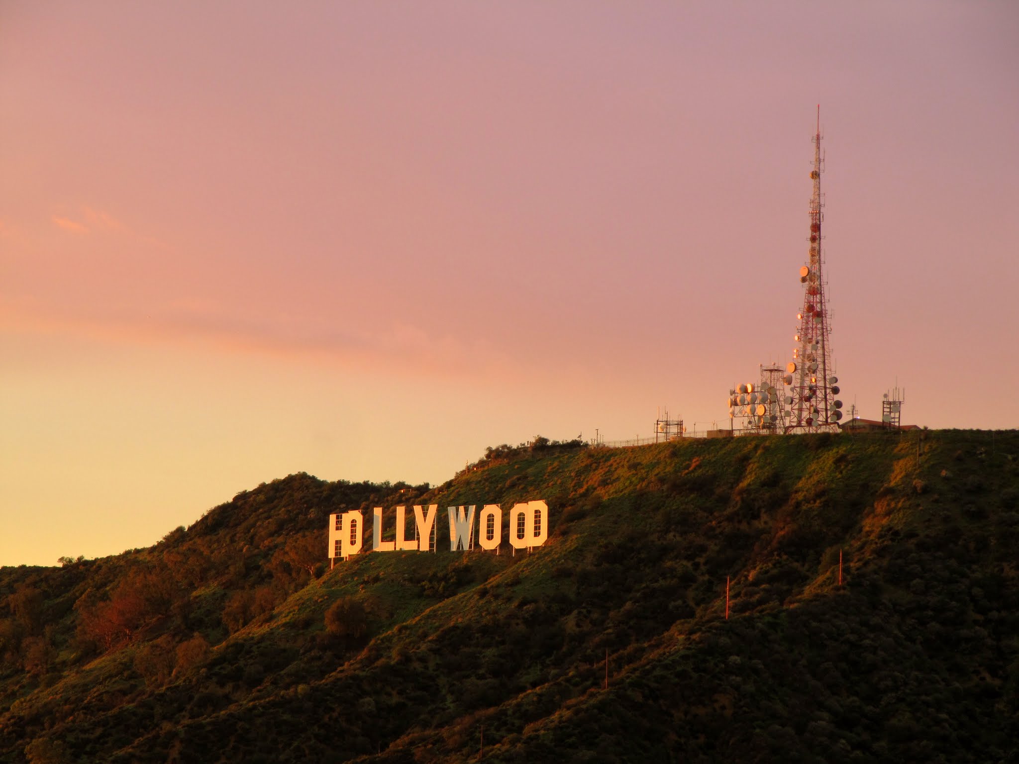 Hollywood Sign Run - Scenic Trails, Unmatched Views & Rewards